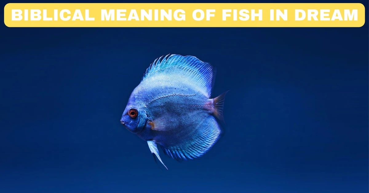 Biblical Meaning Of Fish In Dream
