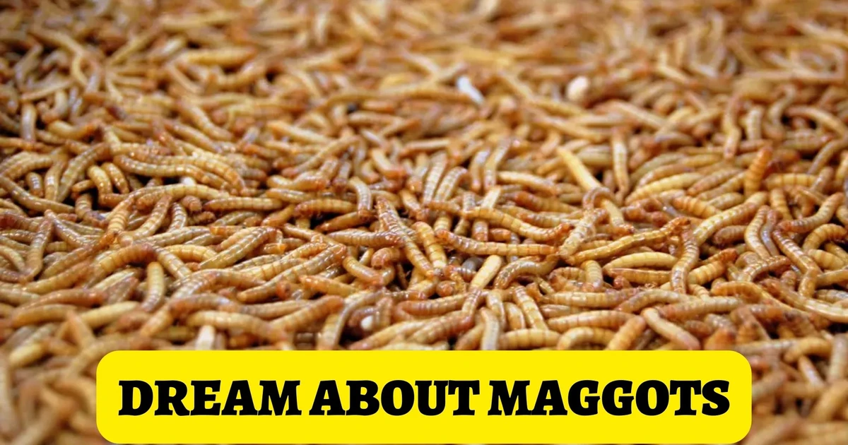 Dream About Maggots - Often A Warning Sign