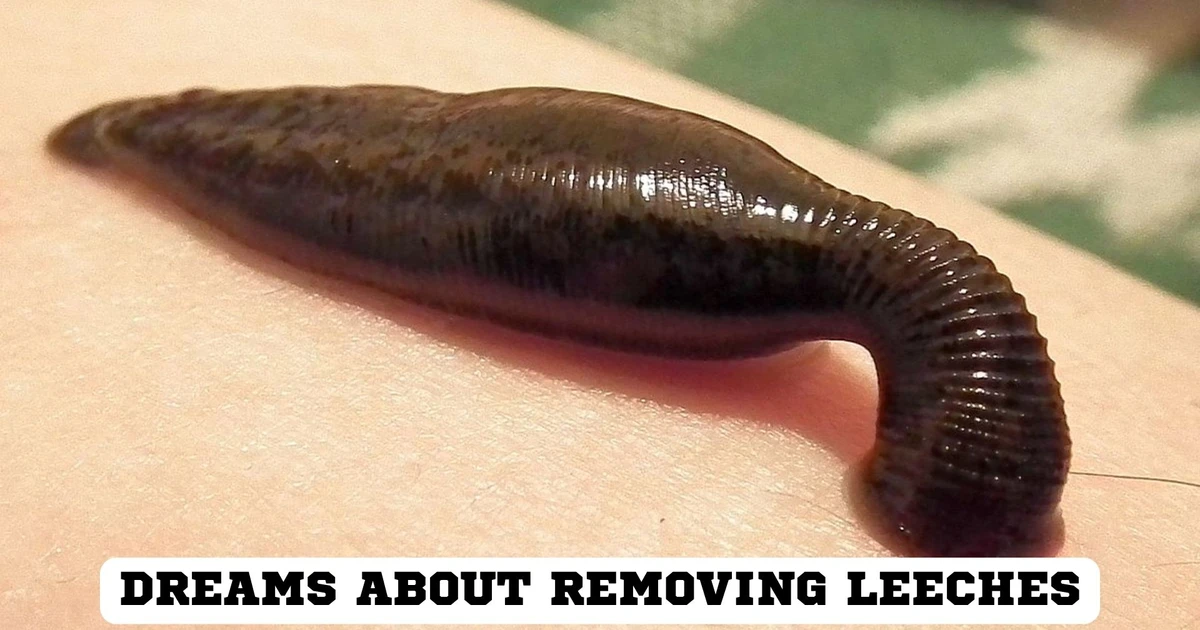 Dreams About Removing Leeches - A Signal For Weakness Or Subtlety