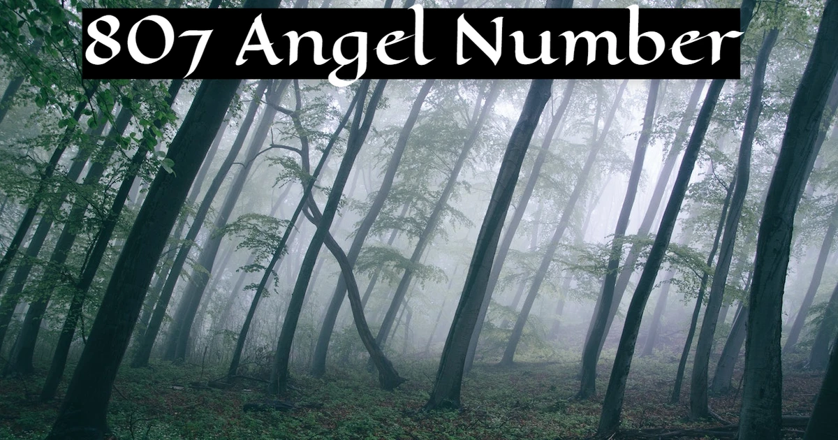 807 Angel Number Meaning - A Symbol Of Progress