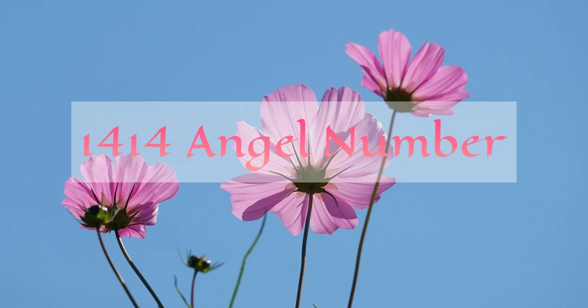 1414 Angel Number - Uplifts You To Have A Positive Attitude