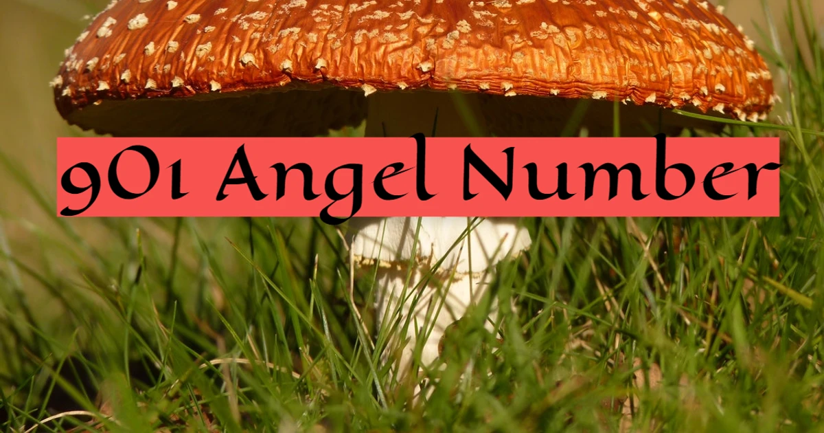 901 Angel Number - Relates To The Field Of Money
