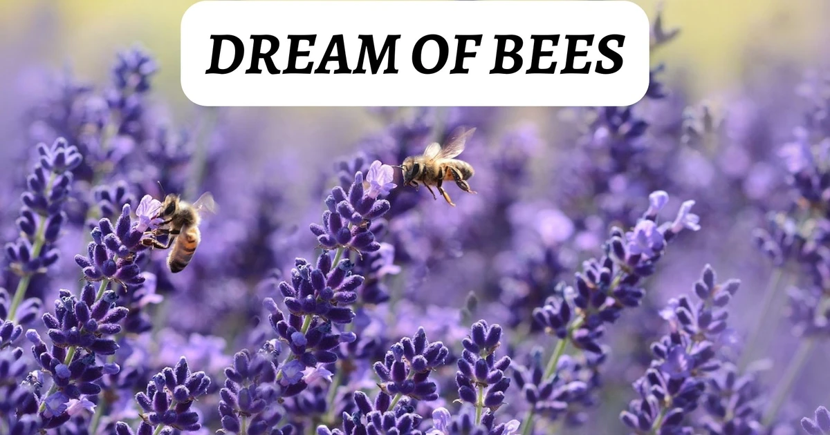 Dream Of Bees - Symbolizes Our Fears And Desires