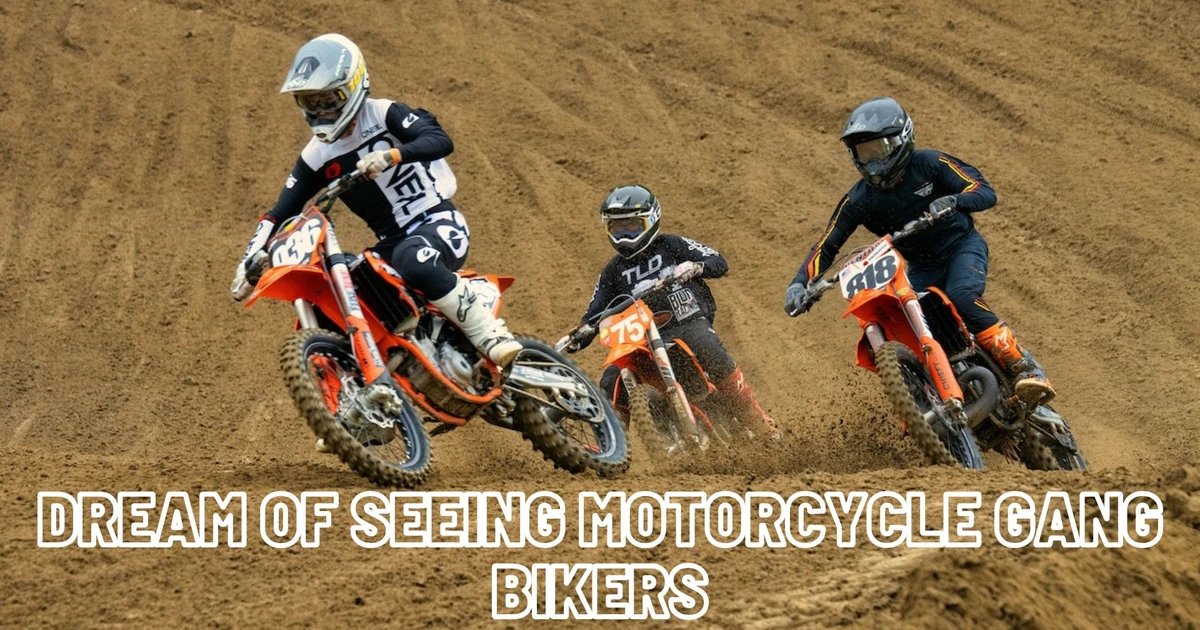 Dream Of Seeing Motorcycle Gang Bikers - Power And Freedom