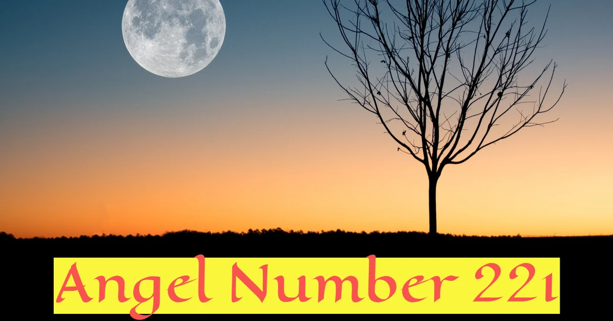 Angel Number 221 - Symbolizes Achievements And Bright Future