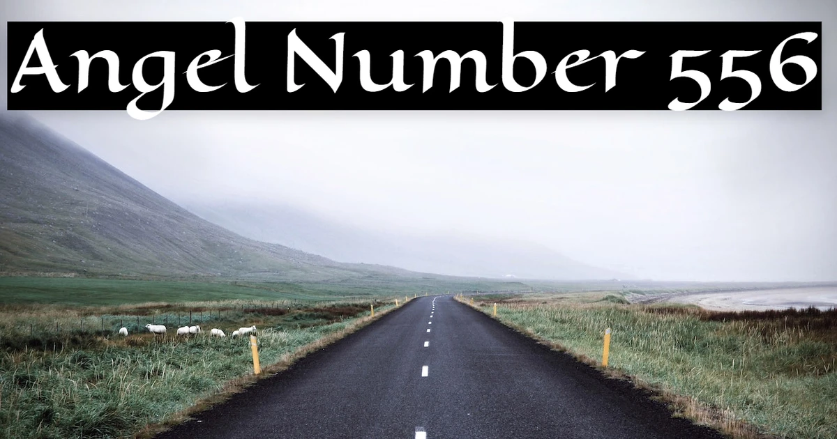 Angel Number 556 - Conveys The Energies Of Harmony And Peace