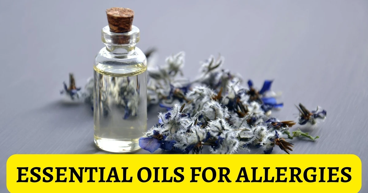 Essential Oils For Allergies - Help With Seasonal Allergy Symptoms