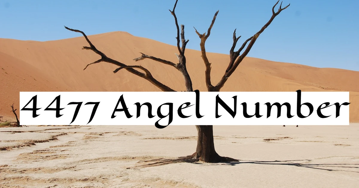 4477 Angel Number - An Encouragement To Dream Big