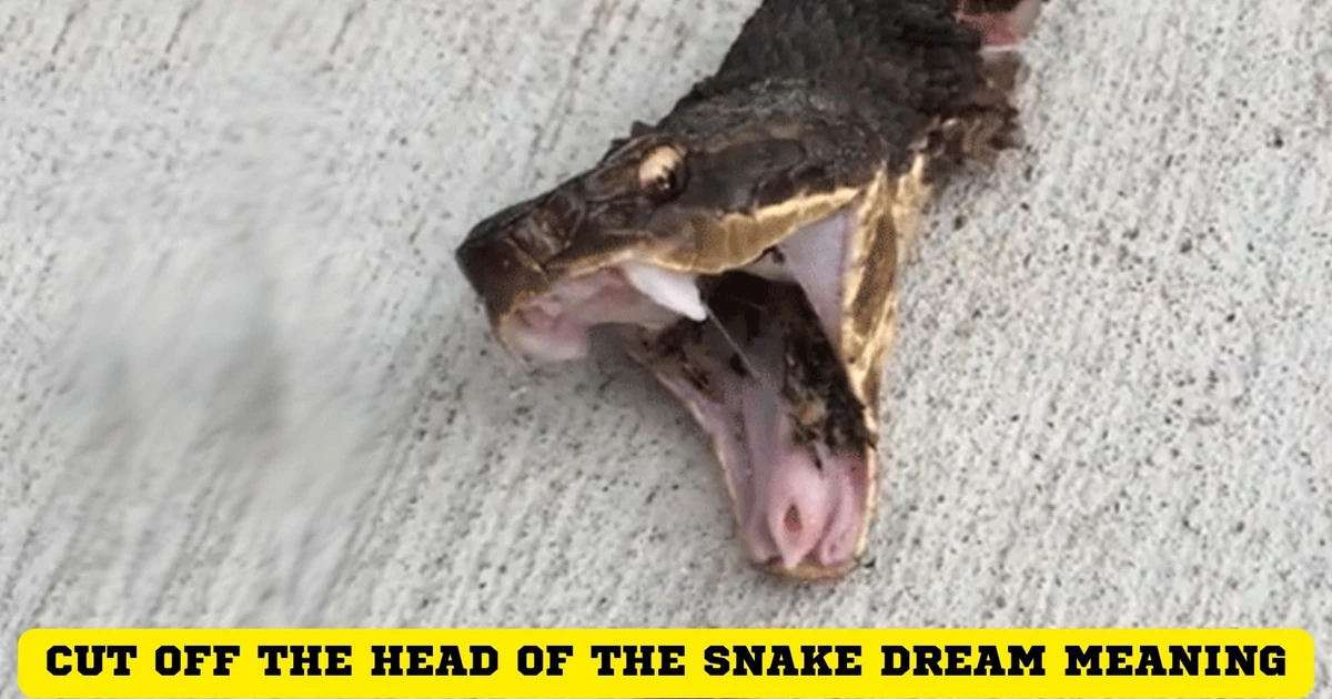 Cut Off The Head Of The Snake Dream Meaning And Interpretation