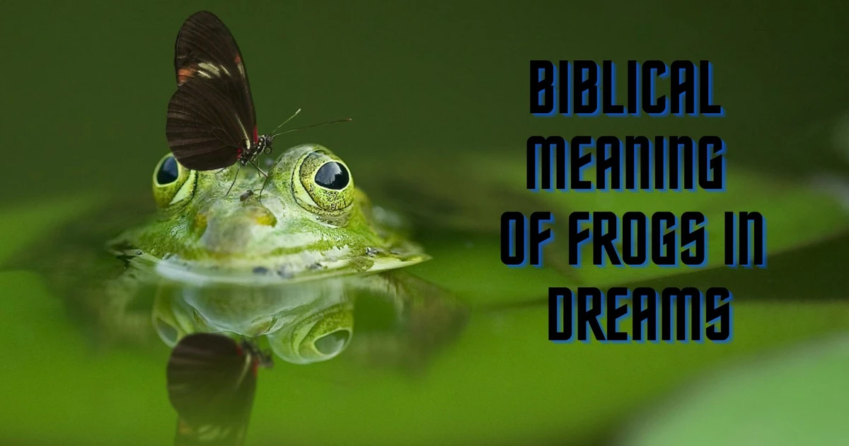 What Is The Biblical Meaning Of Frogs In Dreams?