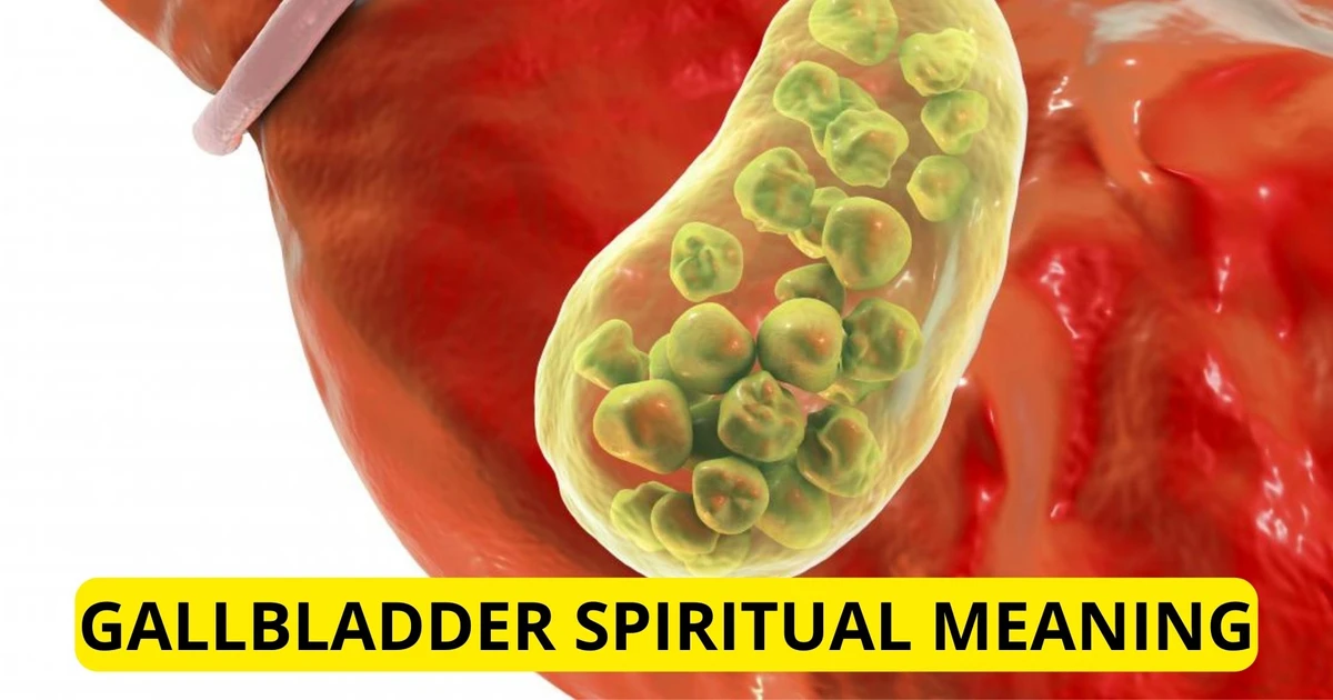Gallbladder Spiritual Meaning - Decision Making And Judgment