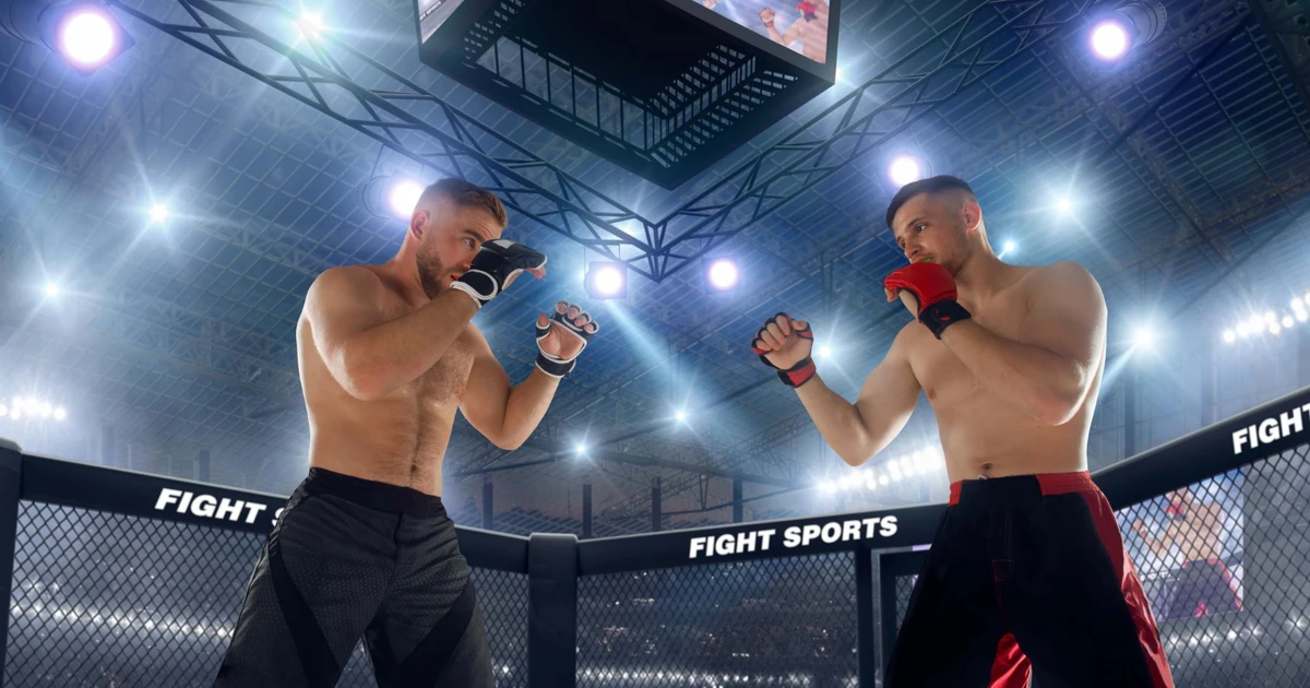 When Is Next UFC Fight Night?