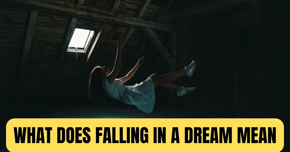 What Does Falling In A Dream Mean? It Reflects Feelings Of Inadequacy