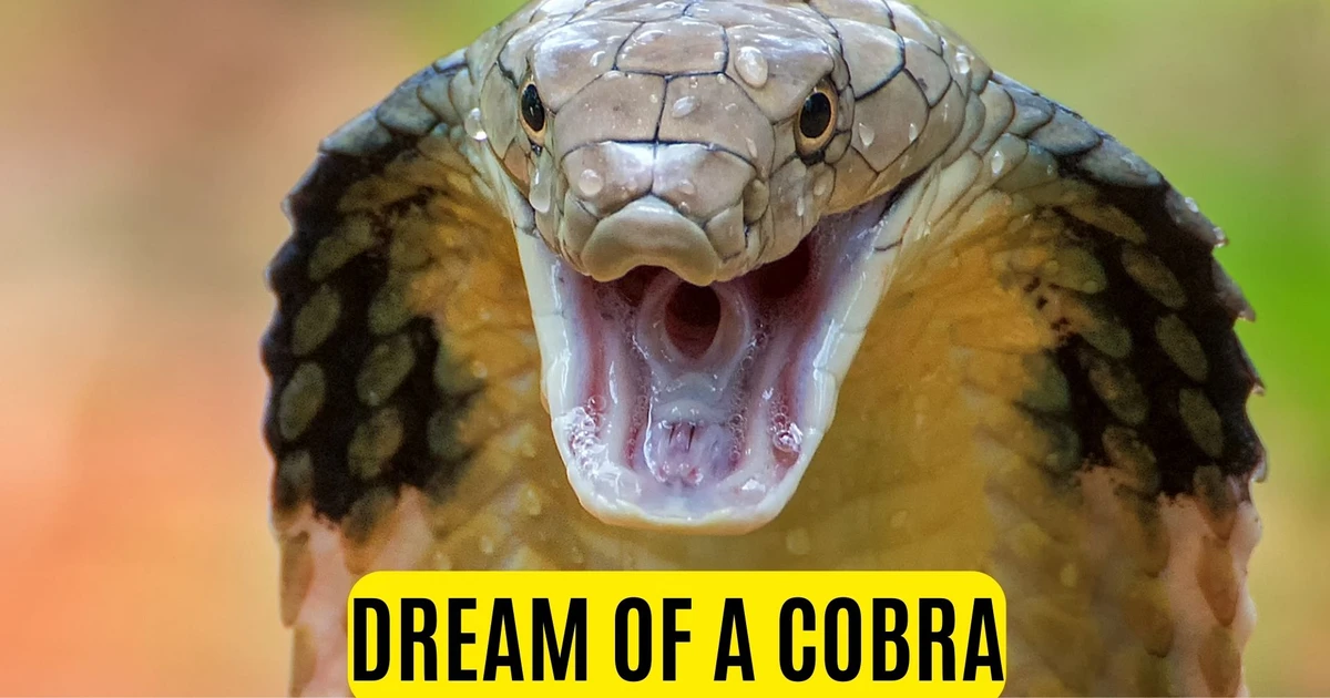 Dream Of A Cobra - Symbol Of Your Inner Insecurities And Problems