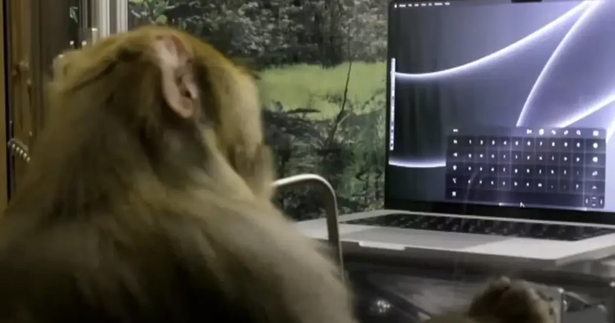 Neuralink Has An Extraordinary Monkey That Writes Telepathically Using ...