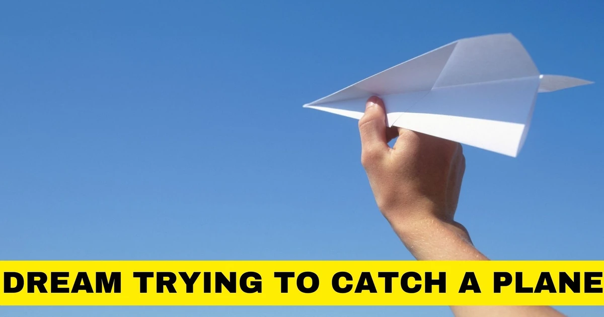 Dream Trying To Catch A Plane - Symbolizes Great Abundance