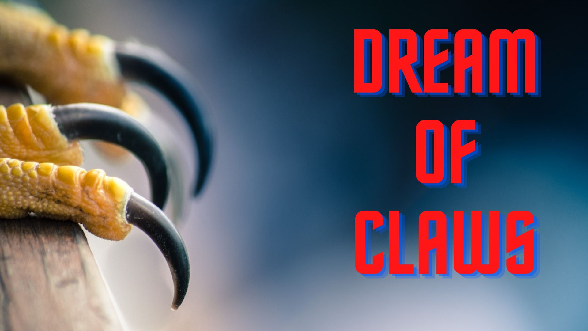 Dream Of Claws - Signify Feelings Of Vulnerability And Hostility