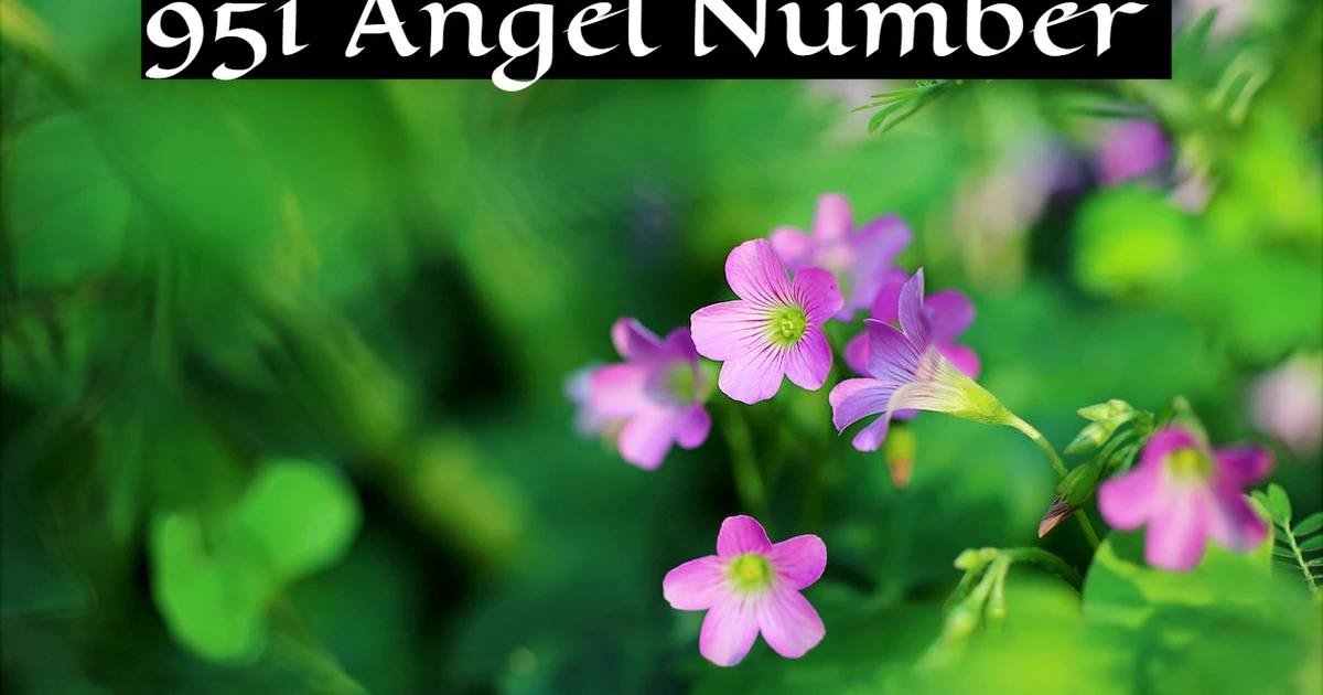 951 Angel Number Meaning - New Beginnings, Redemption, And Mental Stability