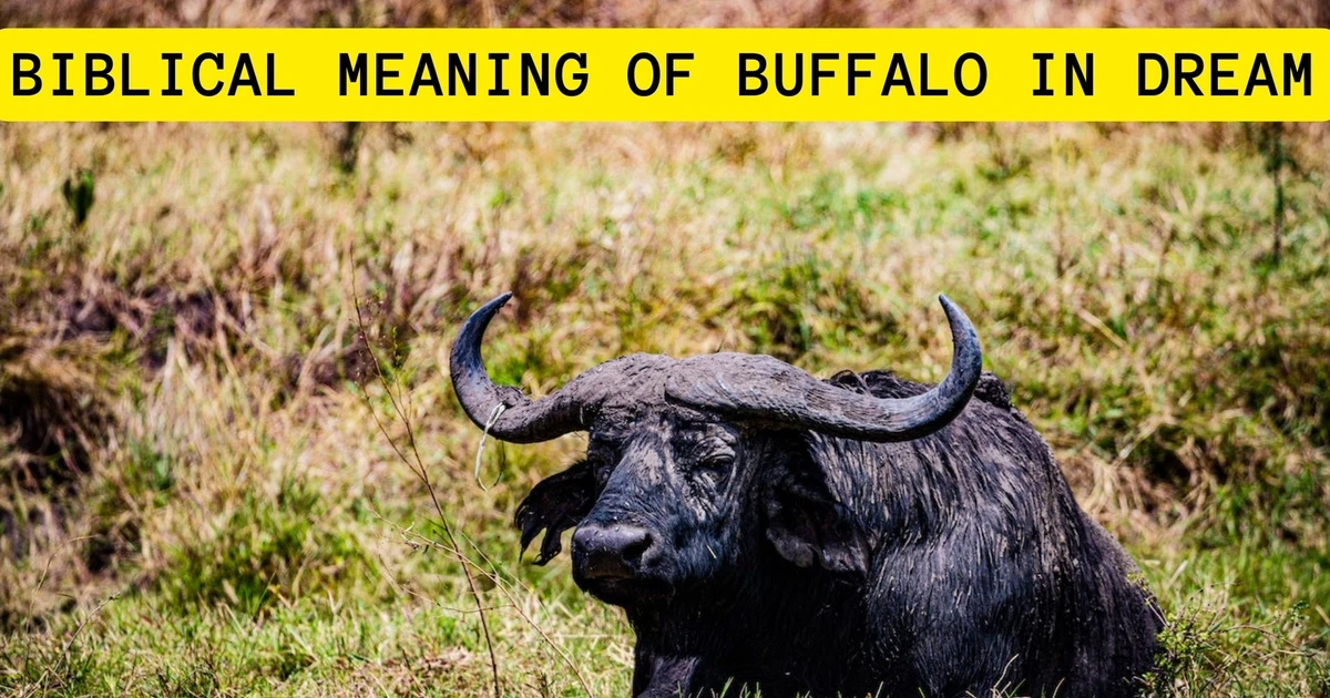 Biblical Meaning Of Buffalo In Dream - What It Truly Signifies?