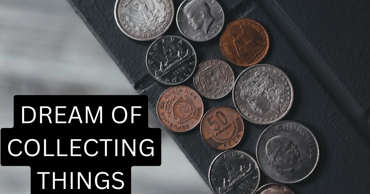 Dream Of Collecting Things Is A Message For Self Discovery