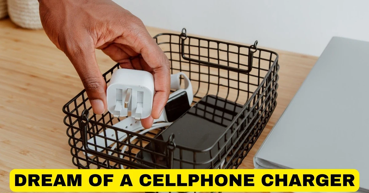 Dream Of A Cellphone Charger - It Feels Like You Are Drained Or Empty
