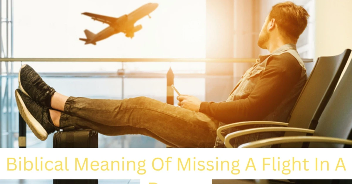 Biblical Meaning Of Missing A Flight In A Dream - Lost Opportunities