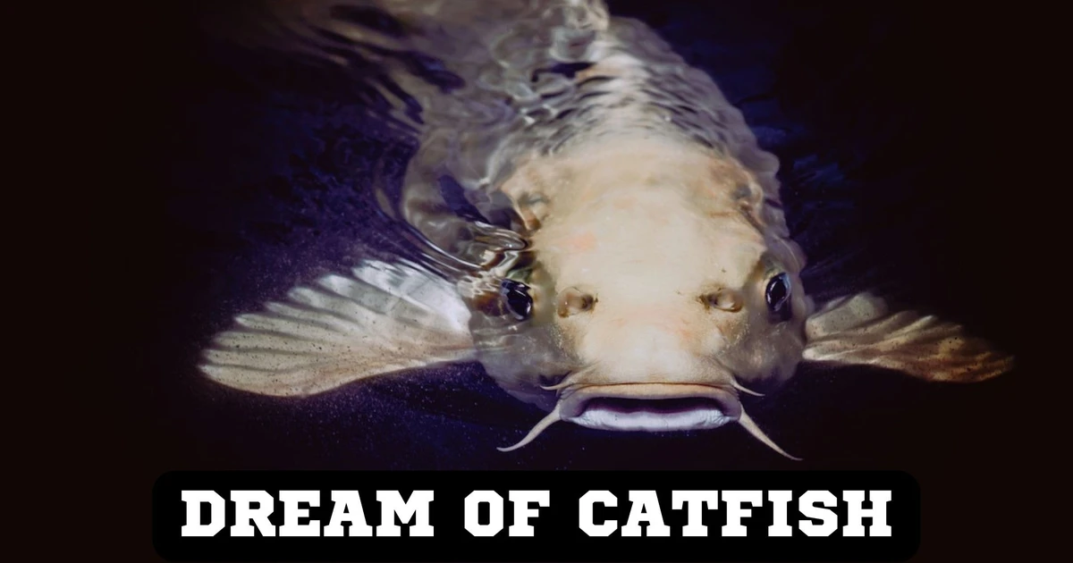 Dream Of Catfish Represents Wealth Or Deception