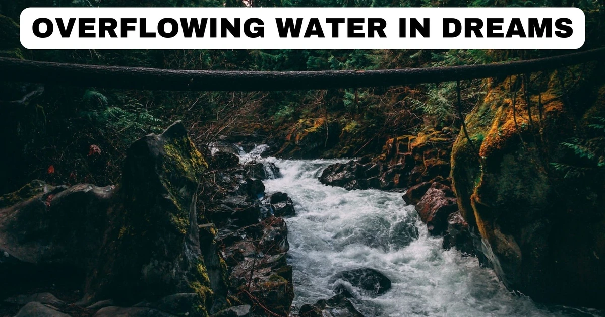 Overflowing Water In Dreams - A Reflection Of Your Family And Self-esteem