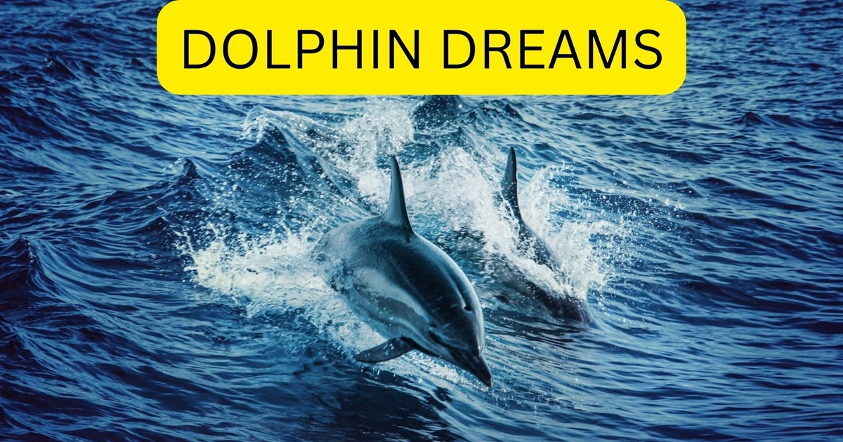 Dolphin Dreams - It Symbolizes Harmony And Excitement