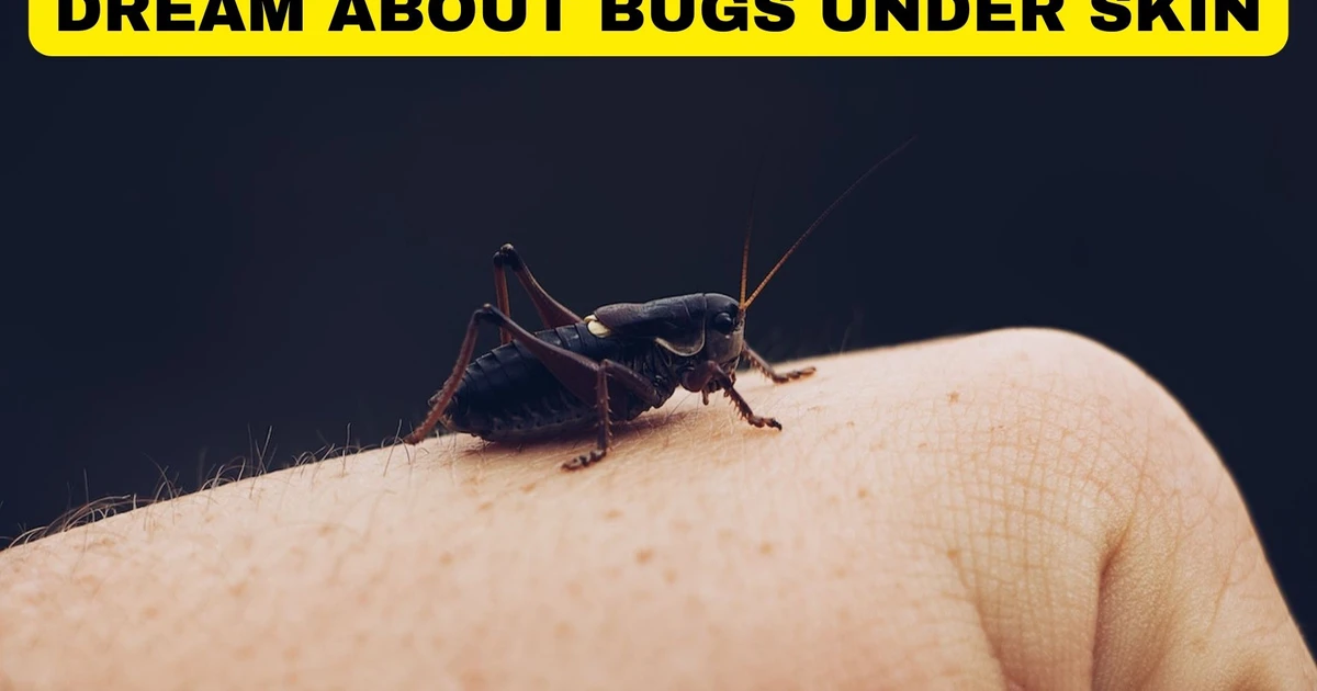 Dream About Bugs Under Skin - Interpretation And Meaning