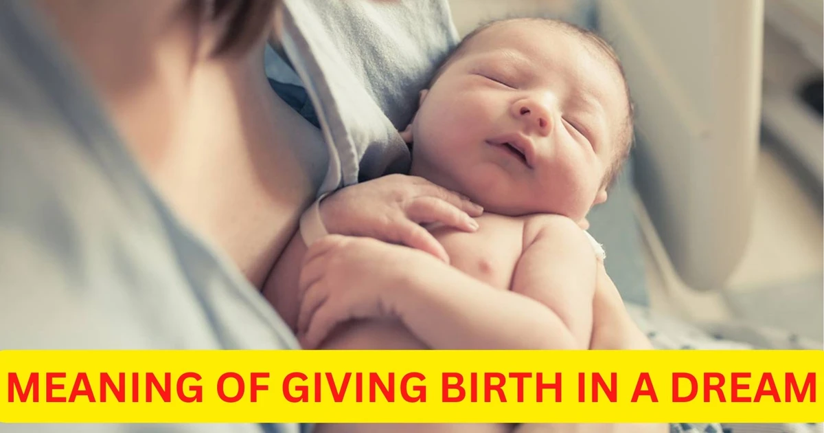 Meaning Of Giving Birth In A Dream - Comfort, And Debt Clearance