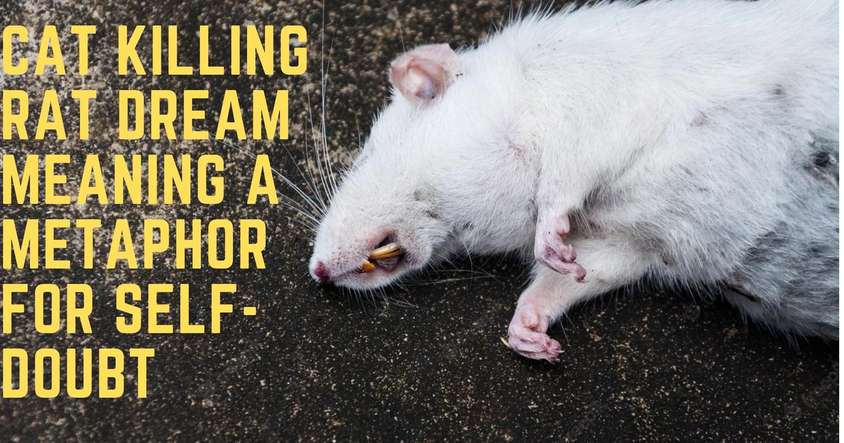 Cat Killing Rat Dream Meaning - A Metaphor For Self-Doubt