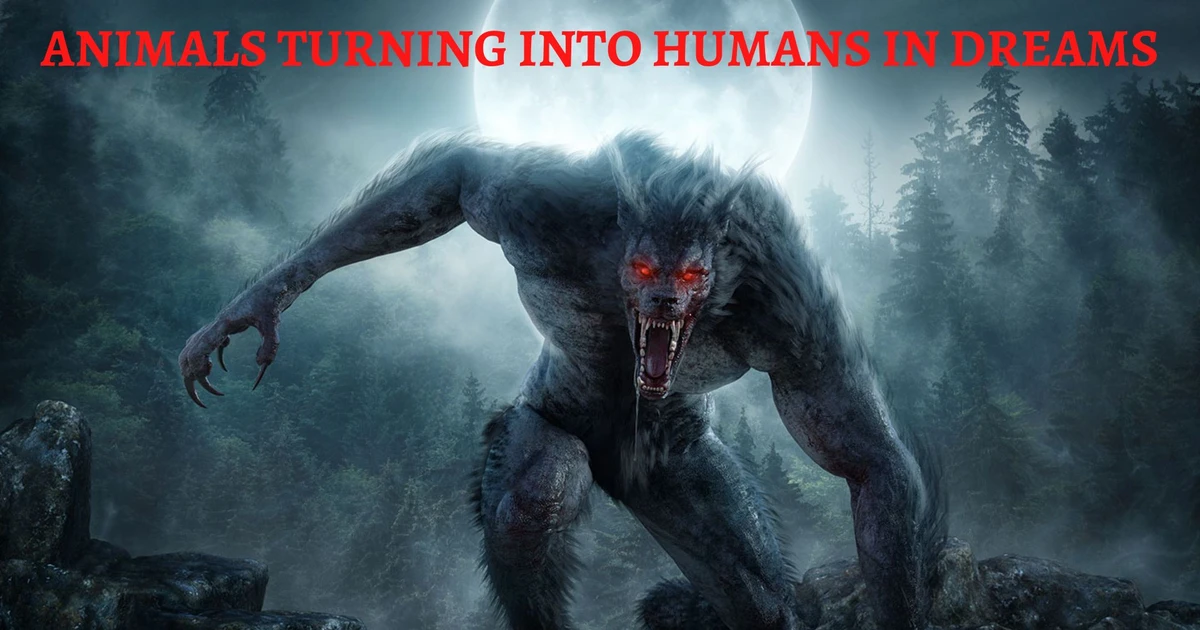 What Does It Mean When Animals Turn Into Humans In Dreams?