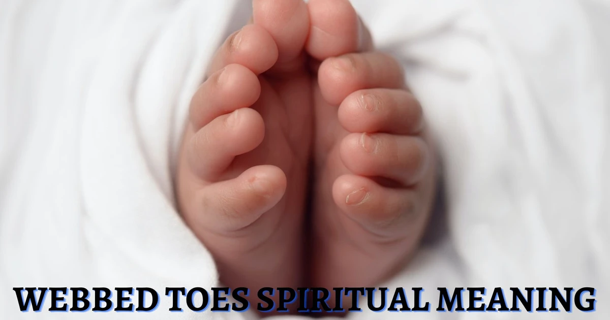 Webbed Toes Spiritual Meaning - It Is Our Responsibility To Take Charge ...