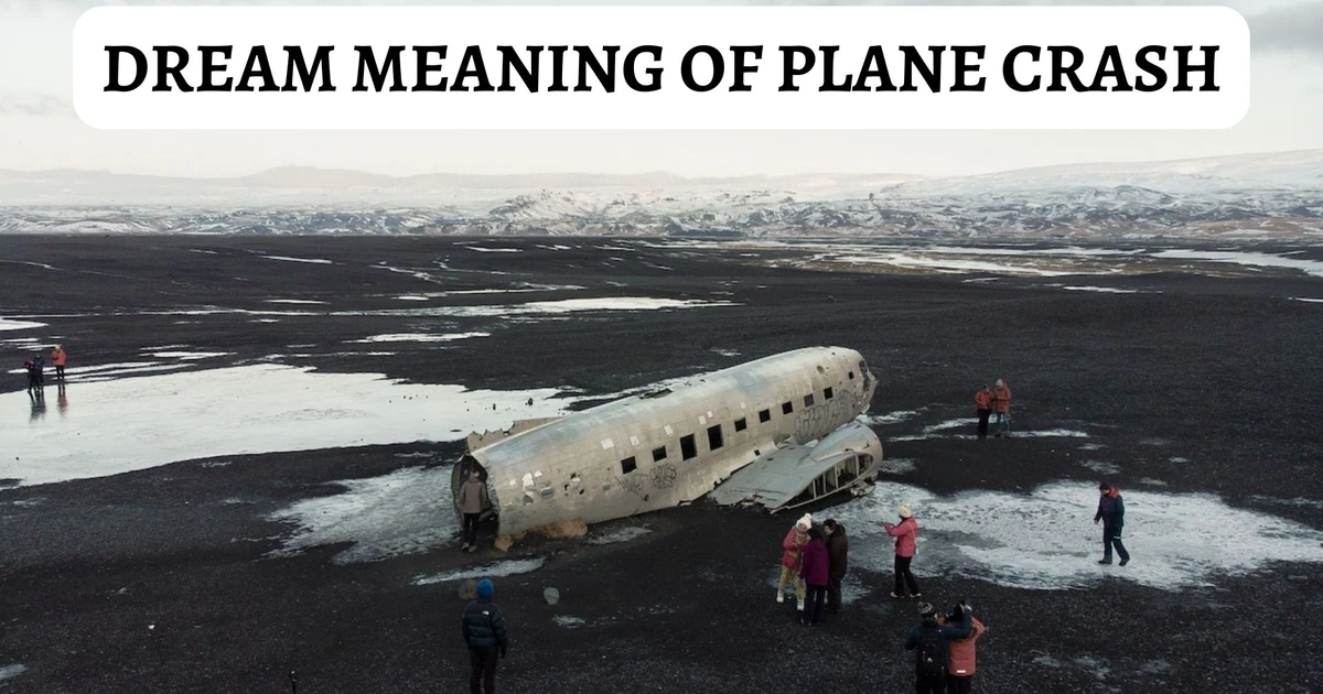 Dream Meaning Of Plane Crash - Symbolizes A Negative Part Of One's Life ...