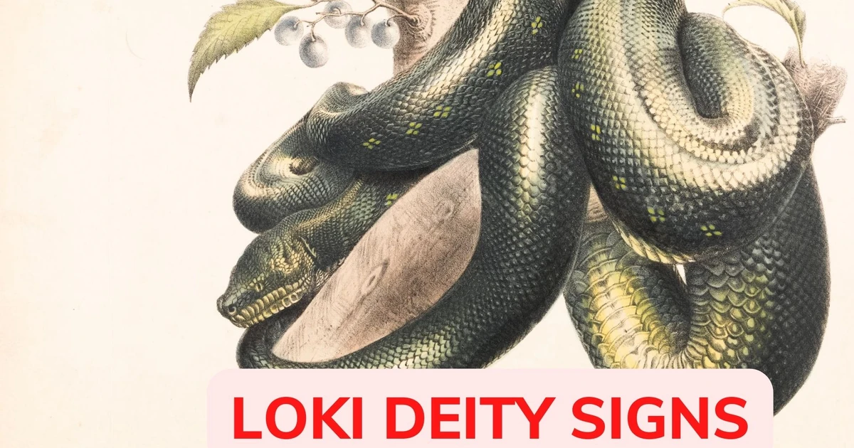 Loki Deity Signs - Symbol Of Most Prominent Snake
