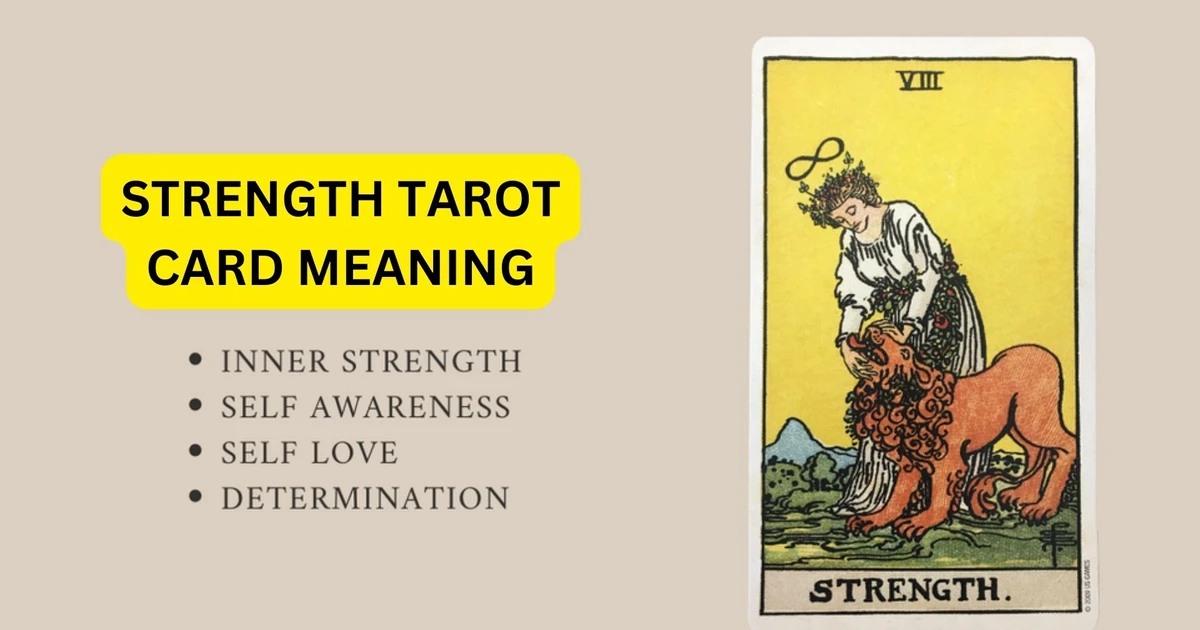 Strength Tarot Card Meaning - Major Arcana