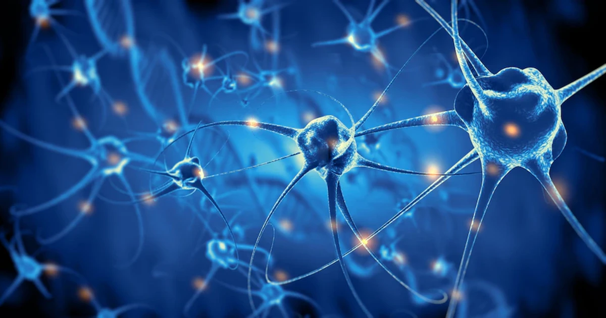 What Are Astrocytes And What Role Do They Play In Intellectual Disabilities