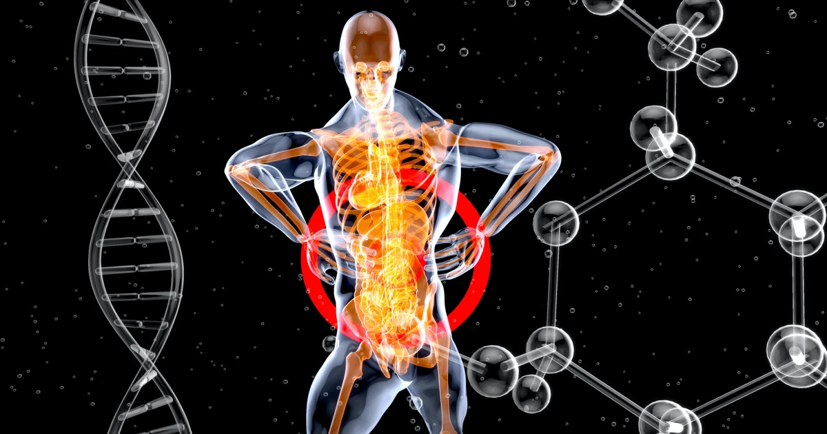 3D Imaging - Techniques Improve Clinical Examination For Orthodontists