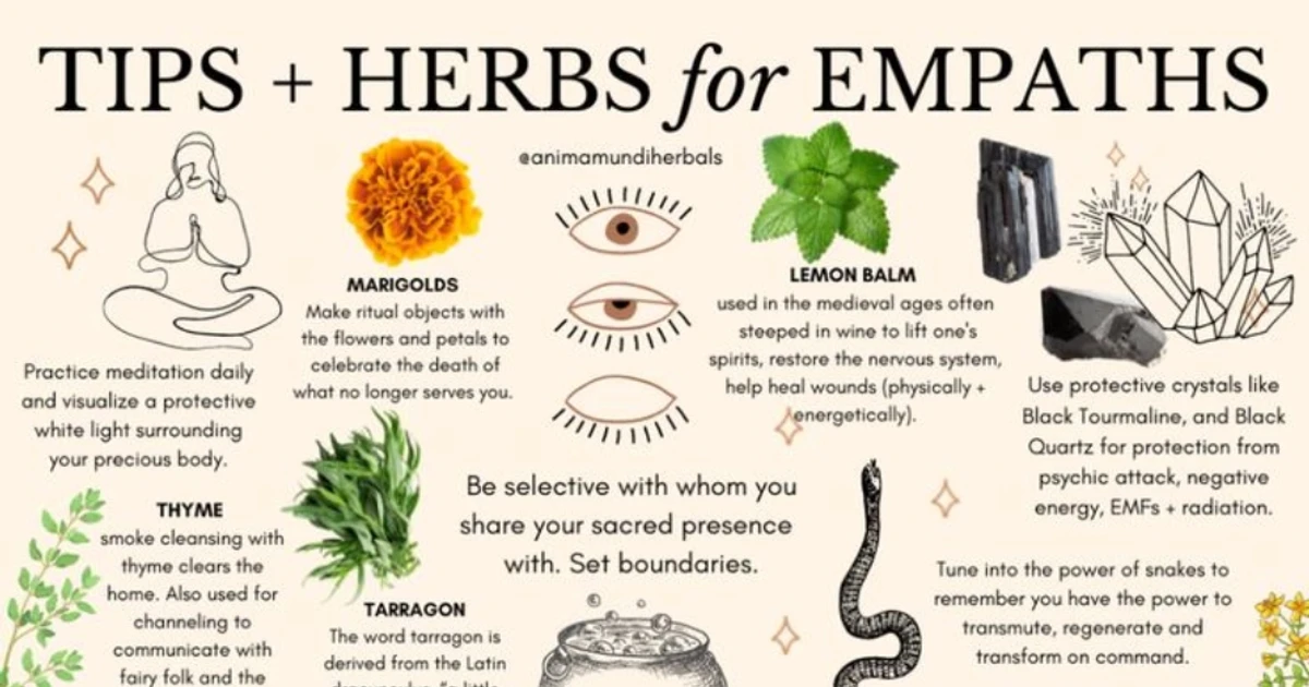 Herbs For Spells - How Does It Work?