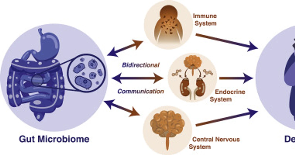Recent Study Shows How Gut Microbes Can Be Linked To Depression