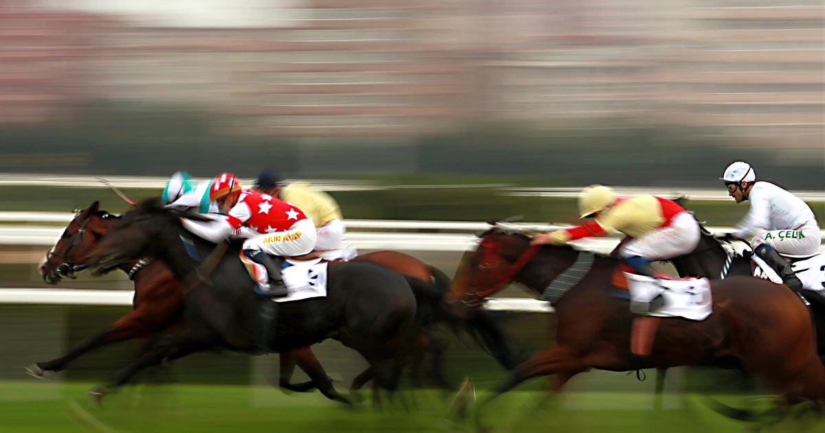 What Is A Quinella? Experience Its Thrill In Your Next Horse Race ...