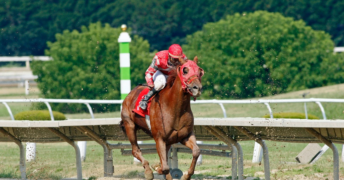 What Is Pick 3 In Horse Racing? Maximize Your Chances Of Winning Big!