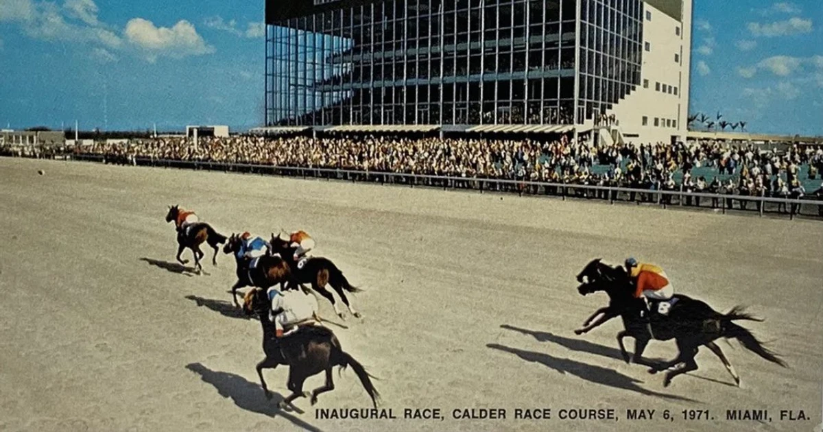 Strategies To Win Bets At Calder Horse Racing