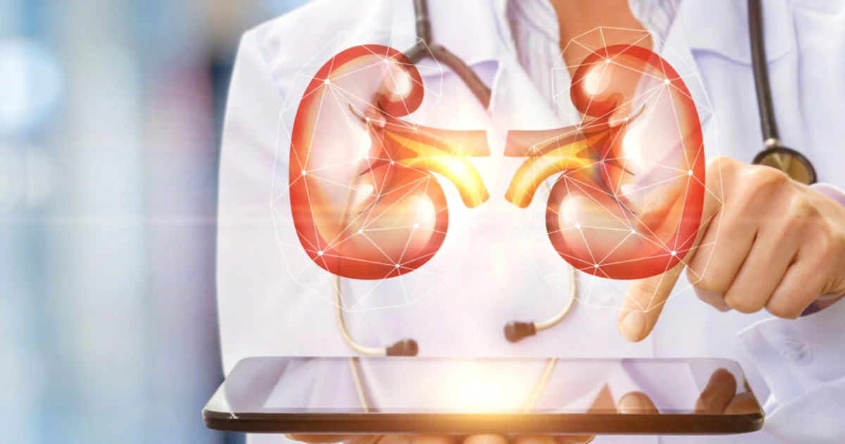 What Is The First Main Symptom Of Kidney Damage? Early Symptoms And Causes