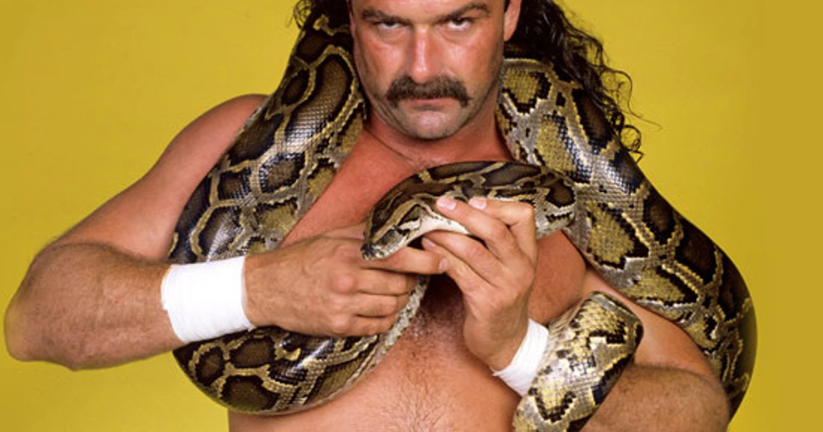 Jake "The Snake" Roberts - The Man, The Legend, The Survivor
