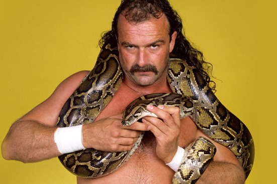 Jake "The Snake" Roberts - The Man, The Legend, The Survivor